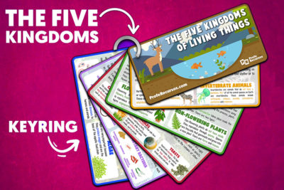 Science | Worksheets Planet