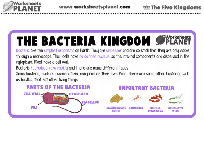 The Five Kingdoms of Living Things for kids | Super PACK