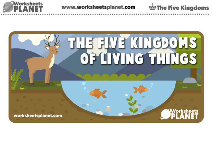The Five Kingdoms of Living Things for kids | Super PACK