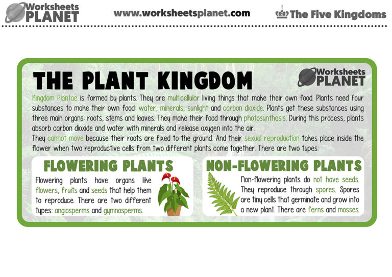 The Five Kingdoms of Living Things for kids | Super PACK