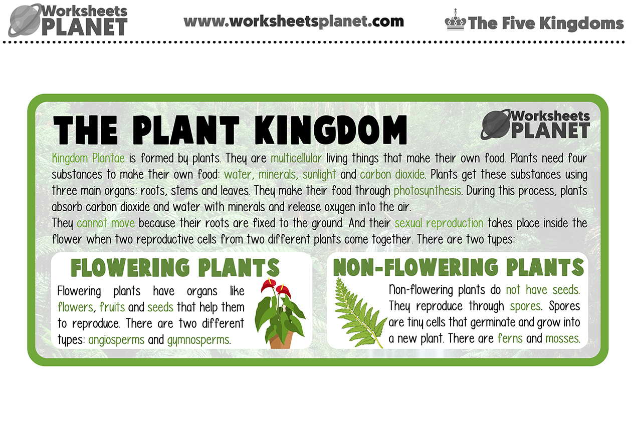 The Five Kingdoms Of Living Things For Kids Super PACK The Five Kingdoms Of Living Things For Kids Super PACK