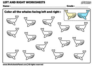 LEFT and RIGHT Worksheets for Kindergarten | Ready to Print