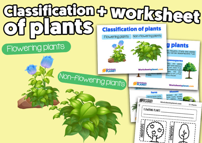 Classification Of Plants For Kids