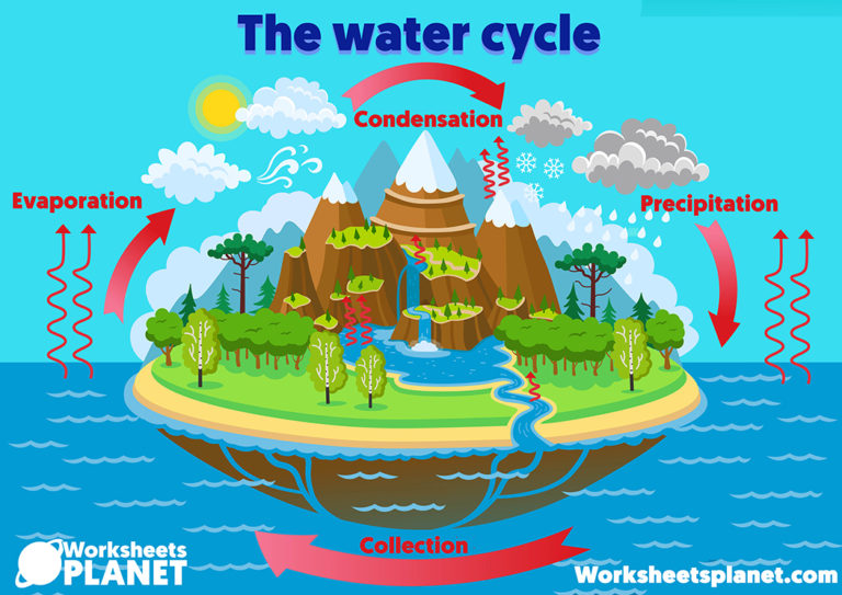 The Water Cycle | Stages and Craft | Science Resources