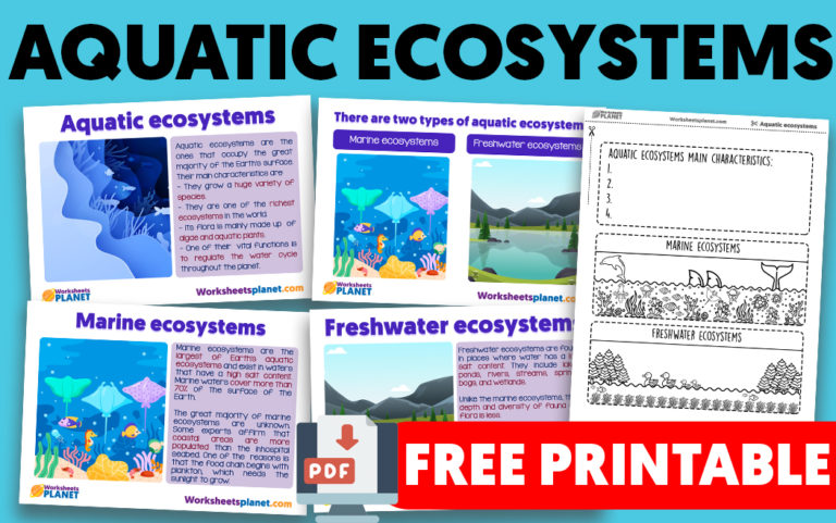 Aquatic Ecosystems for Kids | Science Teachers Resources