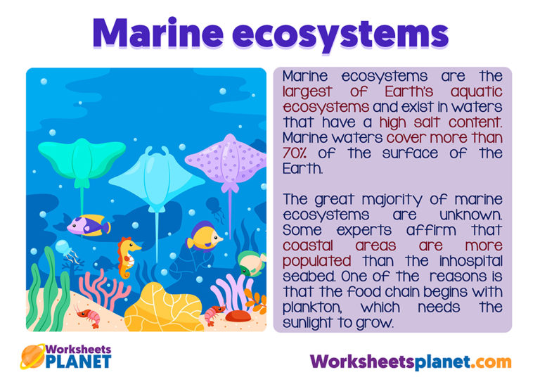 Aquatic Ecosystems for Kids | Science Teachers Resources