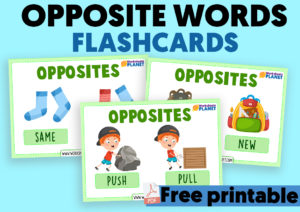 Opposite Words in English | Flashcards | ESL Teachers