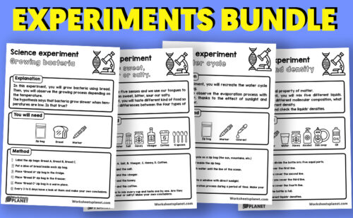 Science Experiments Bundle | Primary Children | Science Teachers