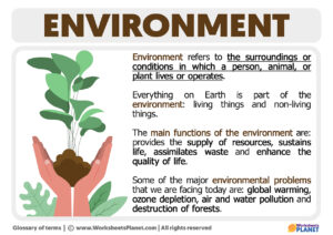 What is the Environment | Definition and Characteristics
