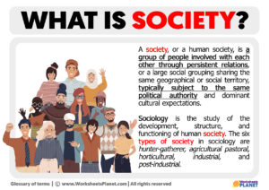 What is a Society | Definition of Society