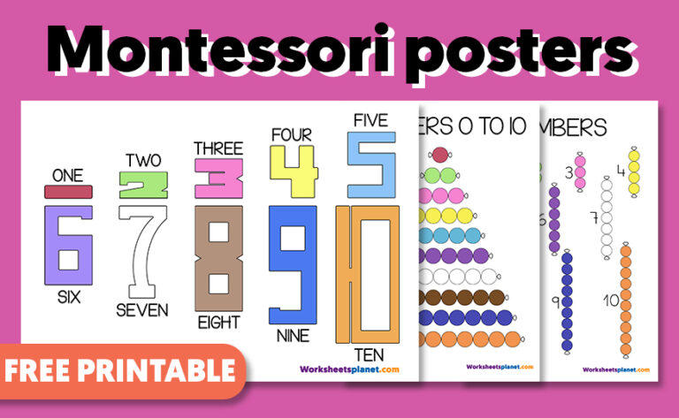 Montessori Numbers Display Posters | Montessori Activities