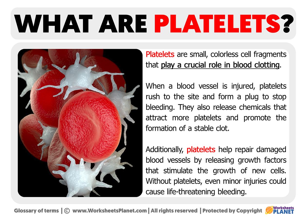 Platelets Platelets