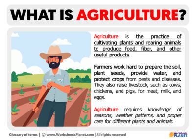 What is Agriculture | Definition of Agriculture