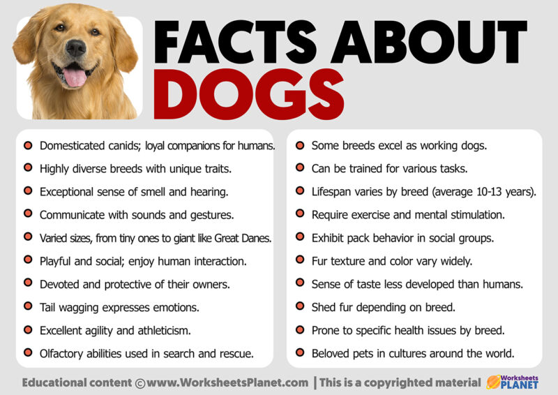 Facts About Dogs Facts About Dogs