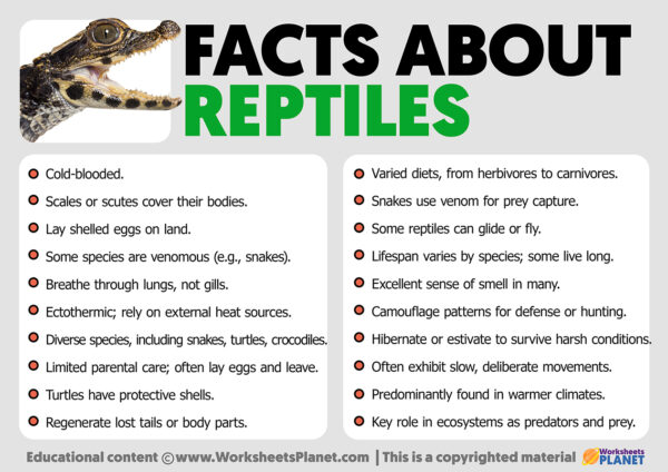 Facts about Reptiles
