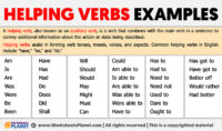 Helping Verbs Examples
