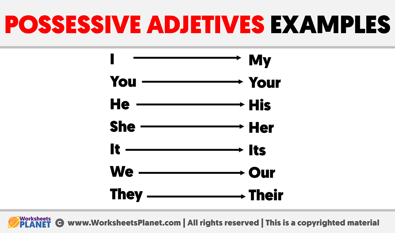 Possessive Adjetives Examples Possessive Adjetives Examples