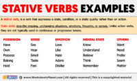 Stative Verbs Examples