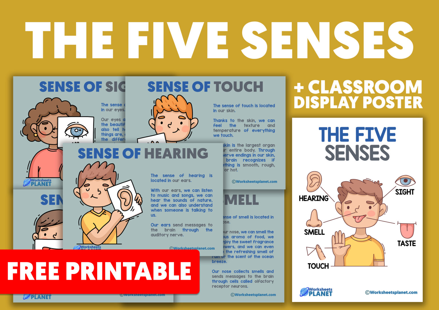 The Five Senses | Free Printable Activity Bundle for Children
