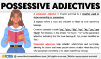 What is a Possessive Adjective | Definition of Possessive Adjective