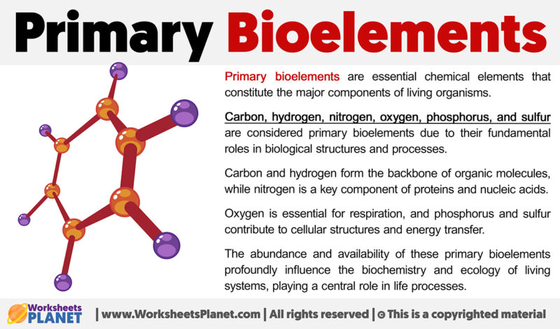What are Primary Bioelements?