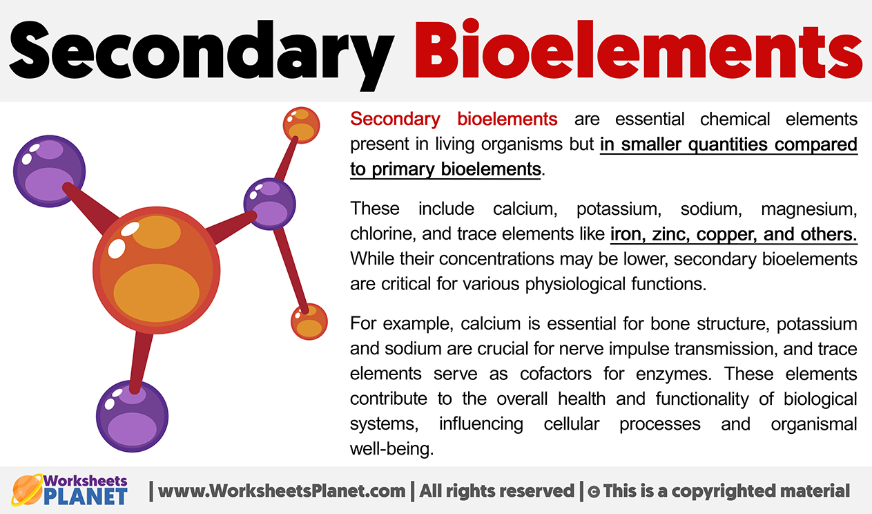 What are Secondary Bioelements?