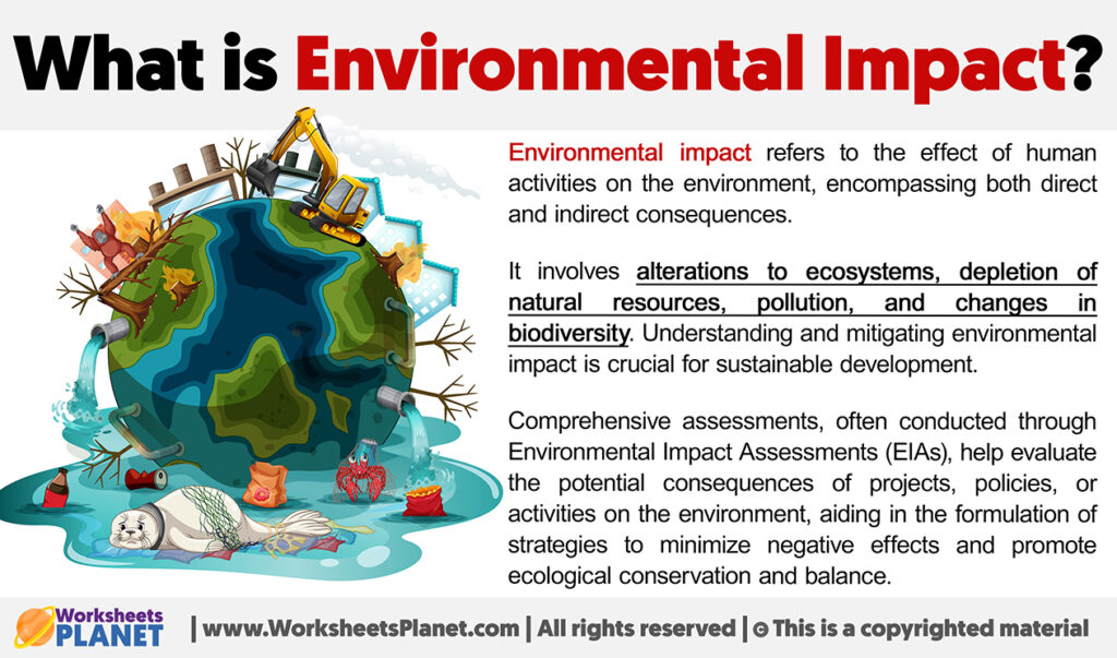 What is Environmental Impact?