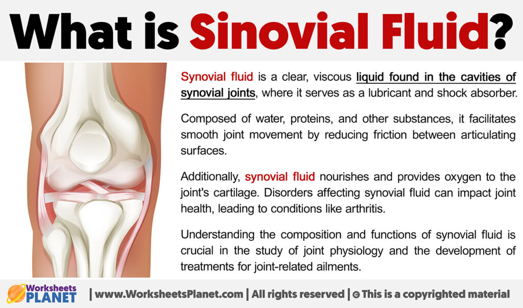 What is Sinovial Fluid?