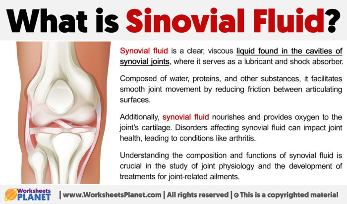 What Is Sinovial Fluid