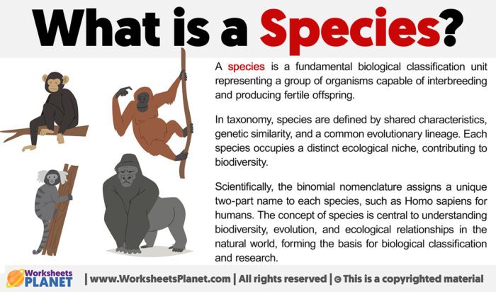 What is Species