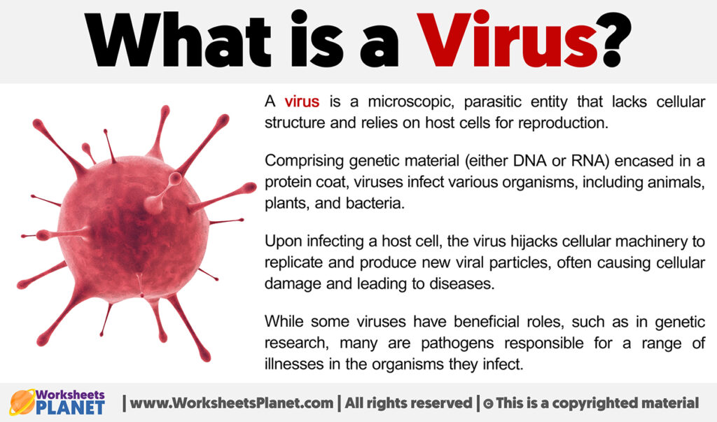 What is a Virus | Definition of Virus