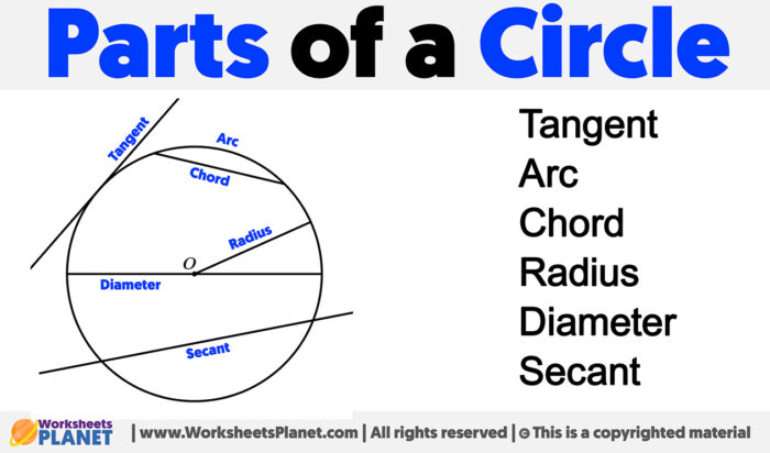 Parts of a Circle or Circumference