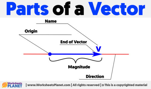 Parts of a Vector