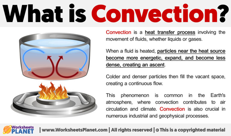 What is Convection | Definition of Convection