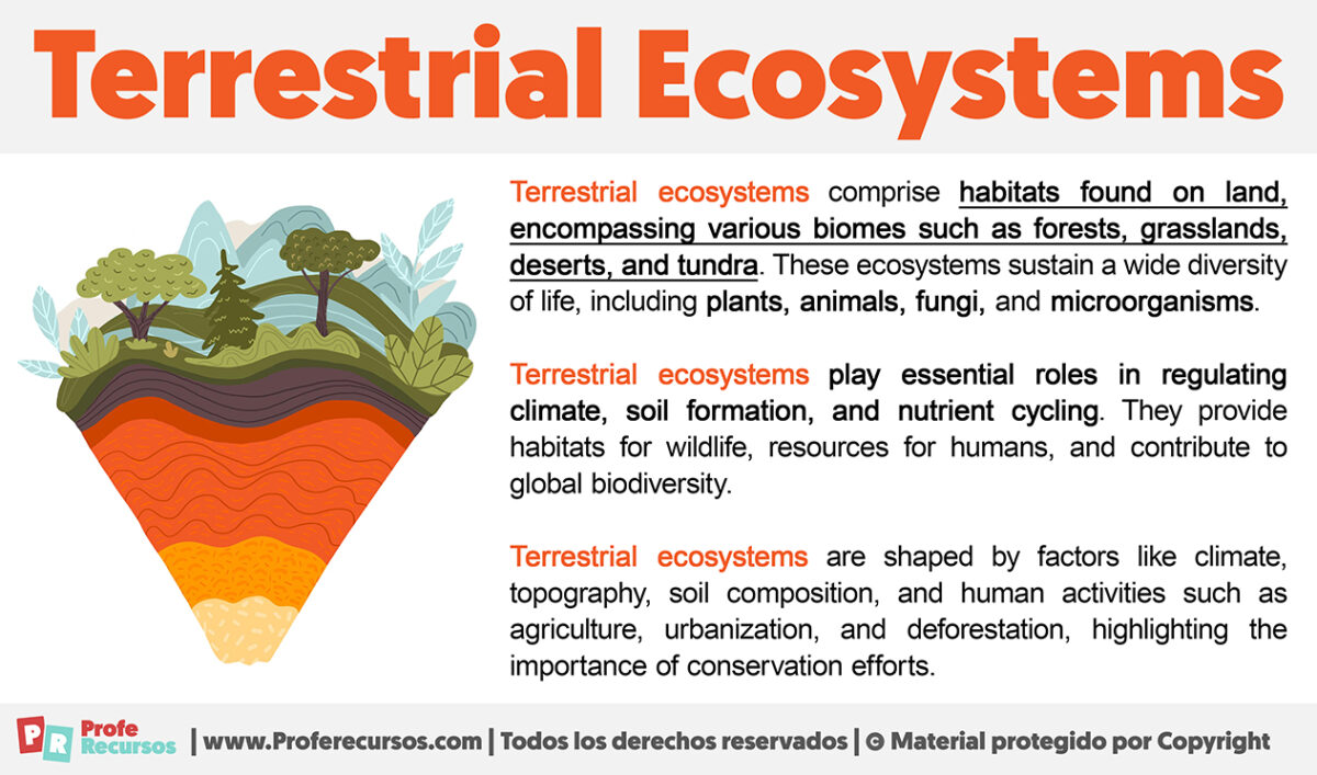 What are Terrestrial Ecosystems?