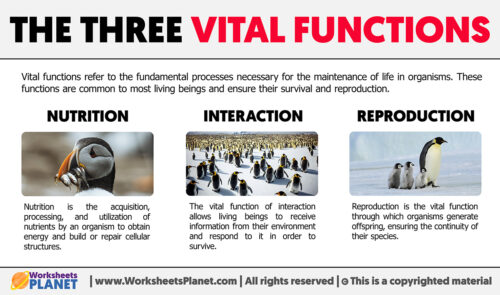 Three Vital Functions