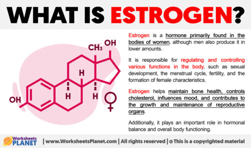 What is Estrogen | Definition of Estrogen