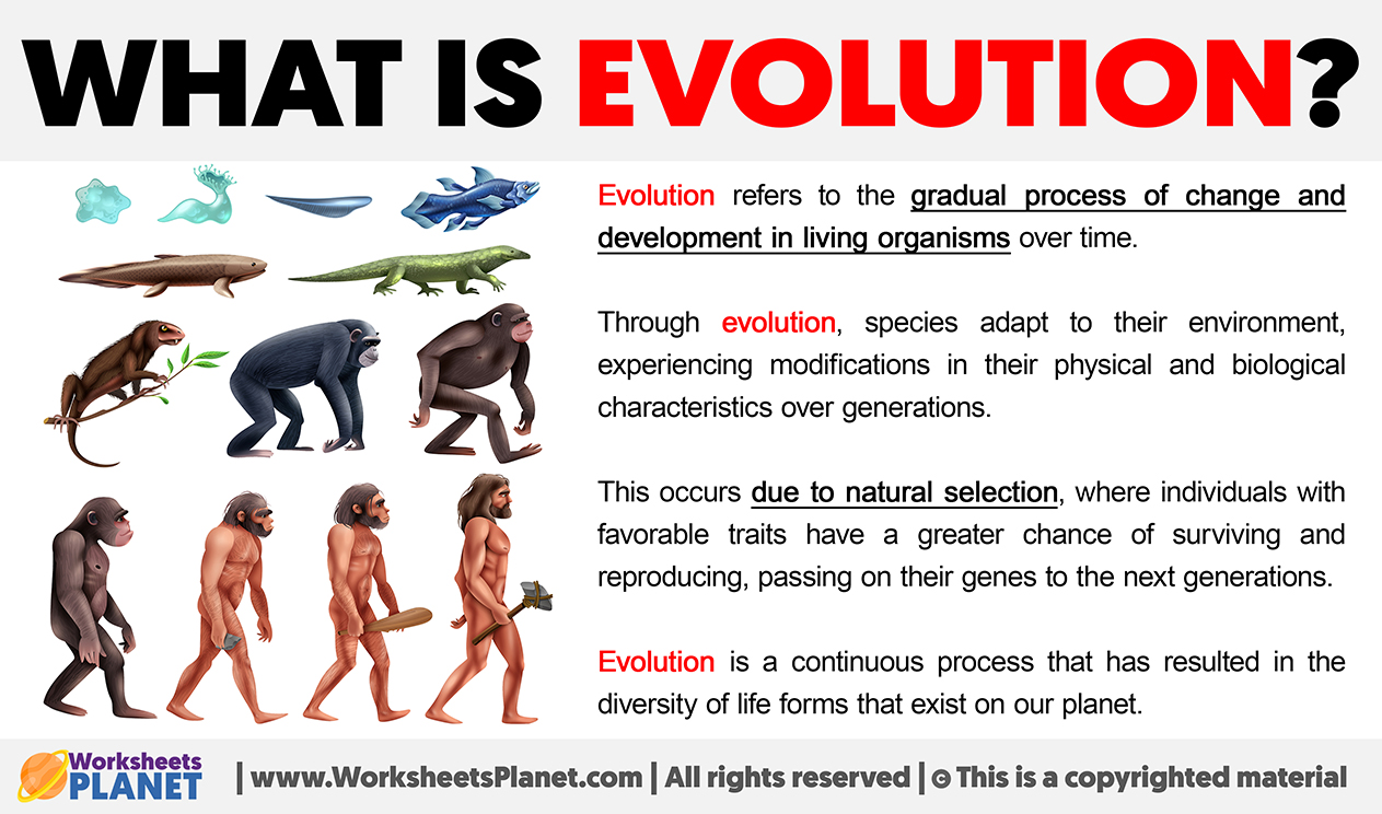 What Is Evolution Definition Of Evolution What Is Evolution Definition Of Evolution