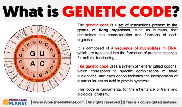 What is Genetic Code?