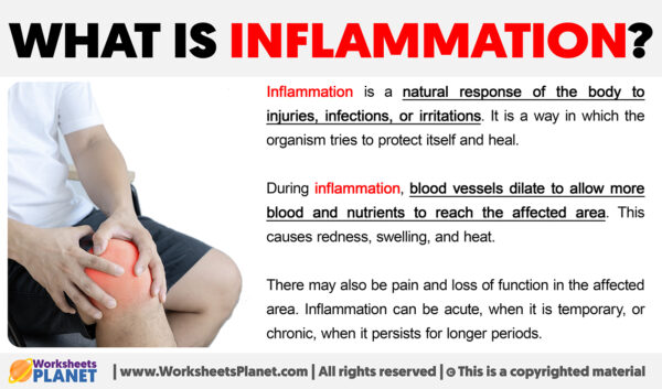 What is Inflammation | Definition of Inflamation