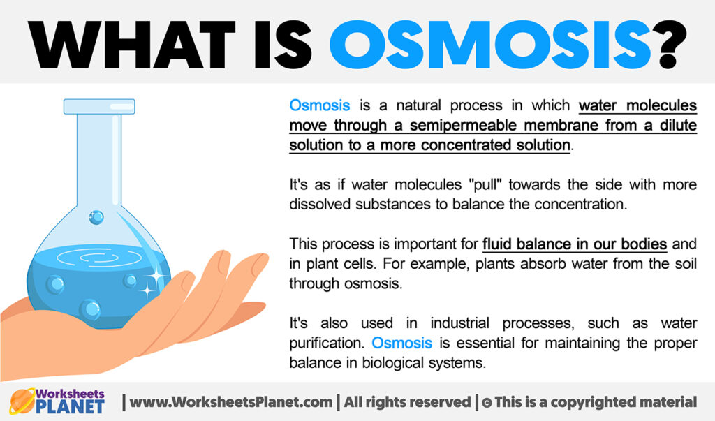 What Is Osmosis Definition Of Osmosis What Is Osmosis Definition Of Osmosis
