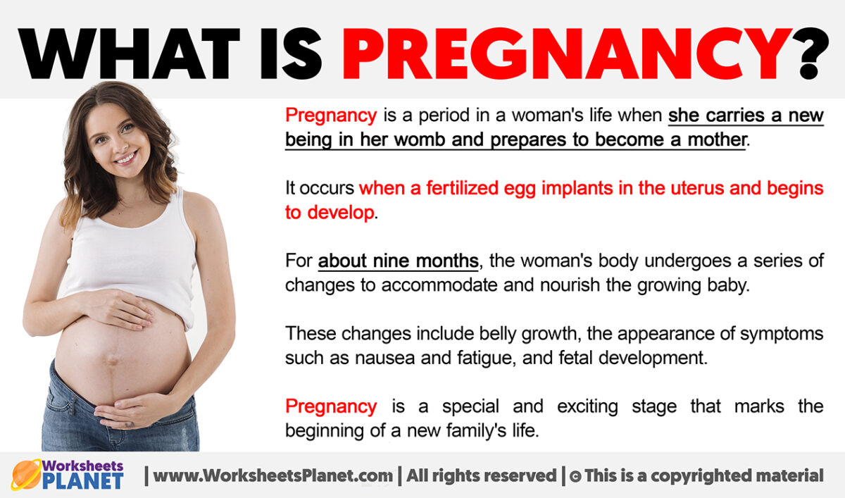 What is Pregnancy | Definition of Pregnancy