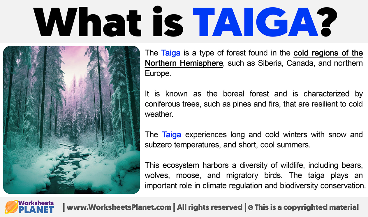 What Is Taiga Ecosystem Definition Of Taiga