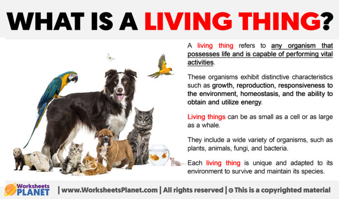 What is a Living Thing?