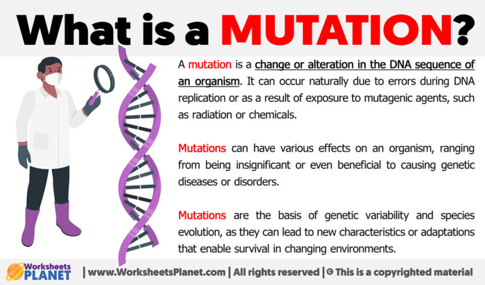 What is a Mutation | Definition of Mutation