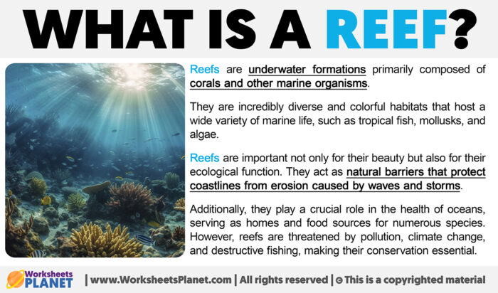 What is a Reef | Definition of Reef
