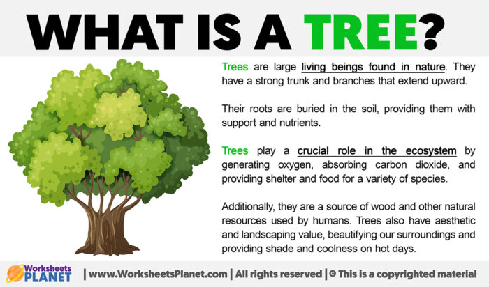 What is a Tree | Definition of Tree