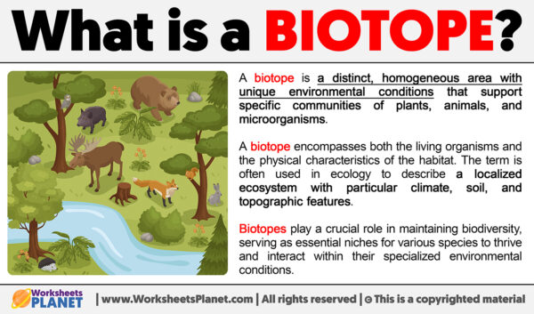 What is a Biotope | Definition of Biotope