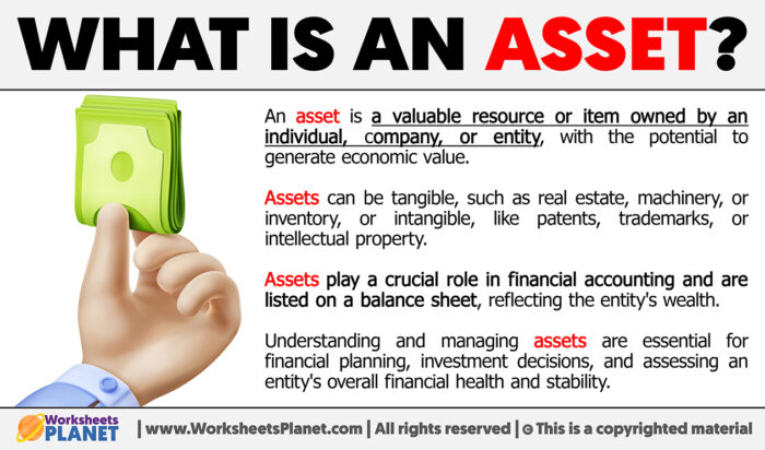 What is an Asset | Definition of Asset