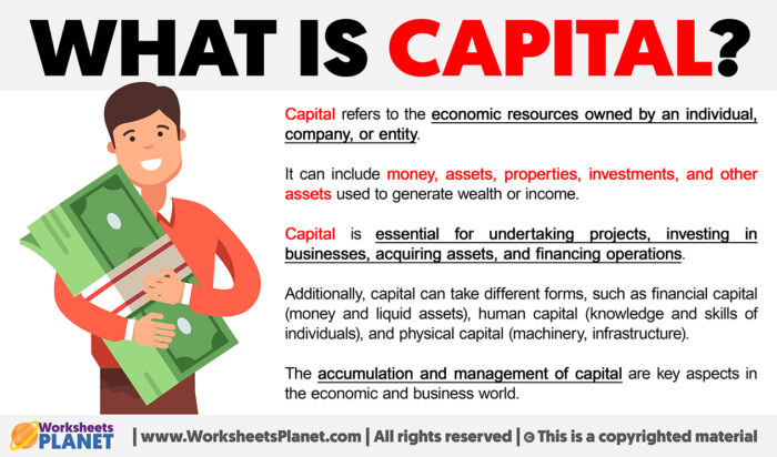 What is Capital | Definition of Capital